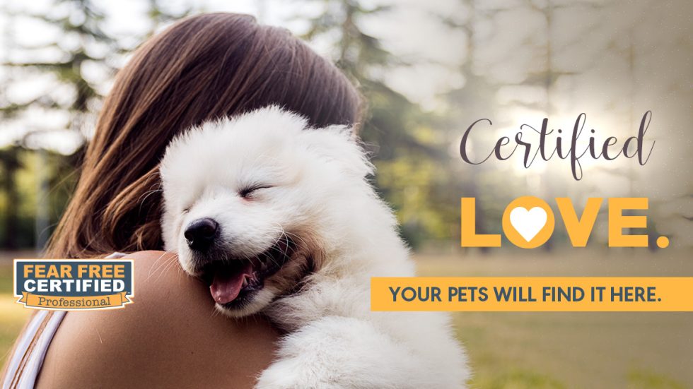 Metro Dogs Daycare, Boarding, Training + Puppy Specific Care